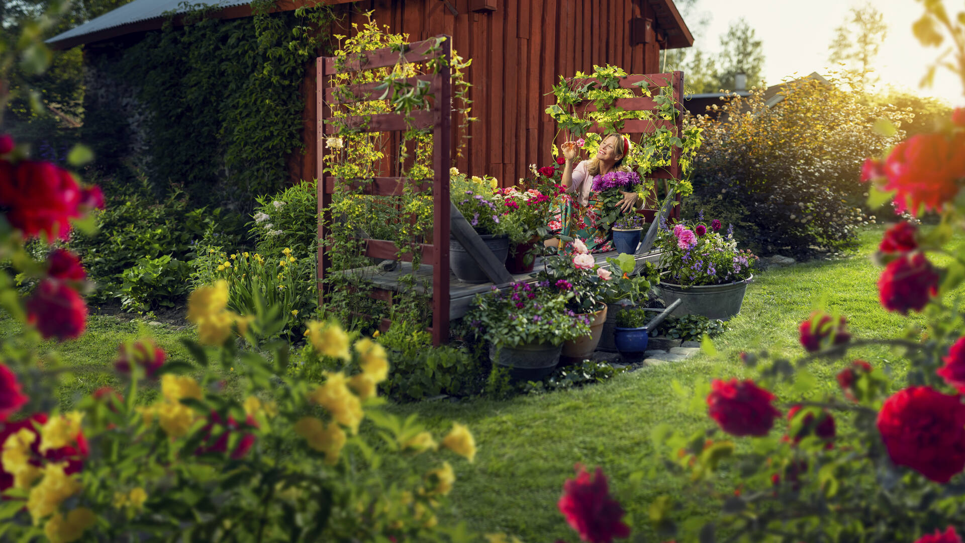Trädgården – Jordkungen