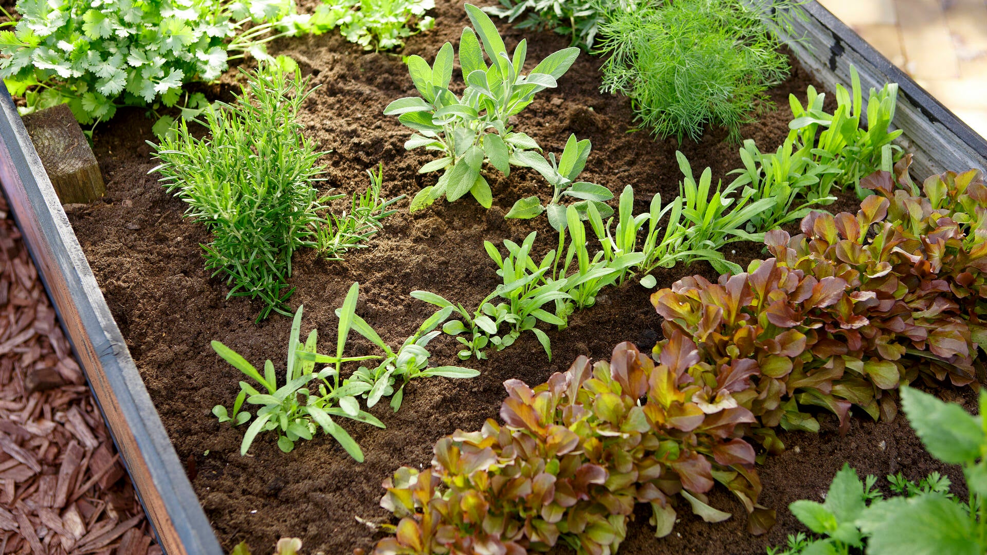 Köksträdgård – Jordkungen