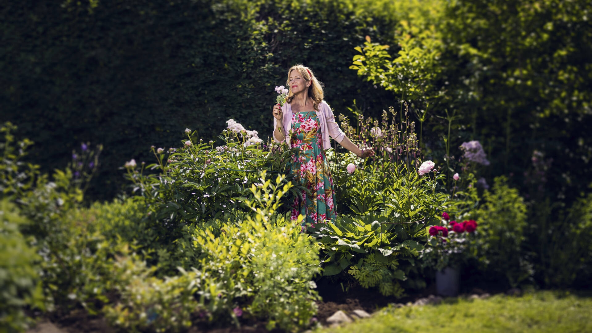 Plantera Perenner – Jordkungen