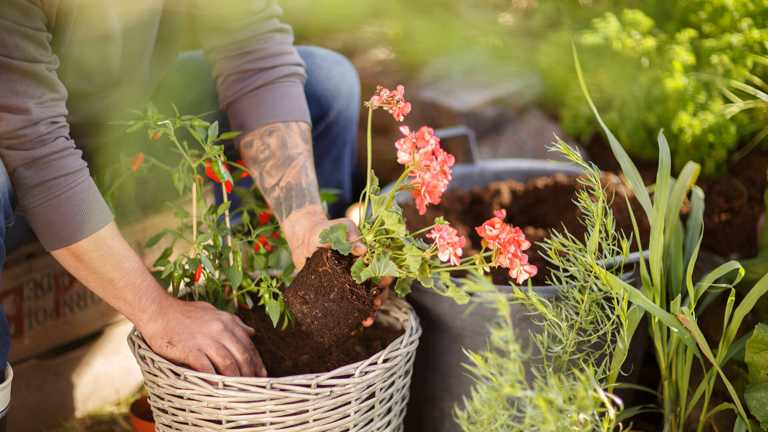 Produktserier – Jordkungen